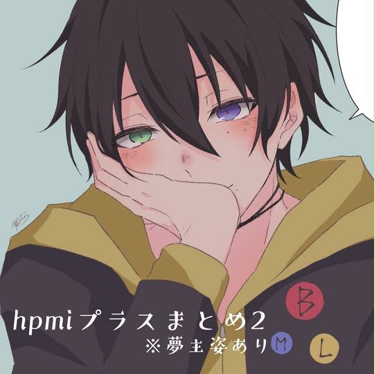 hpmiプラスまとめ2 | KURO